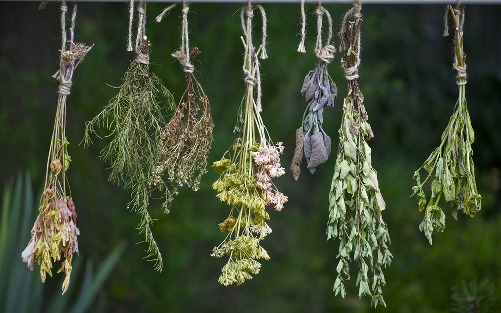 Cretan Herbs & Wild Greens - Crete Guide